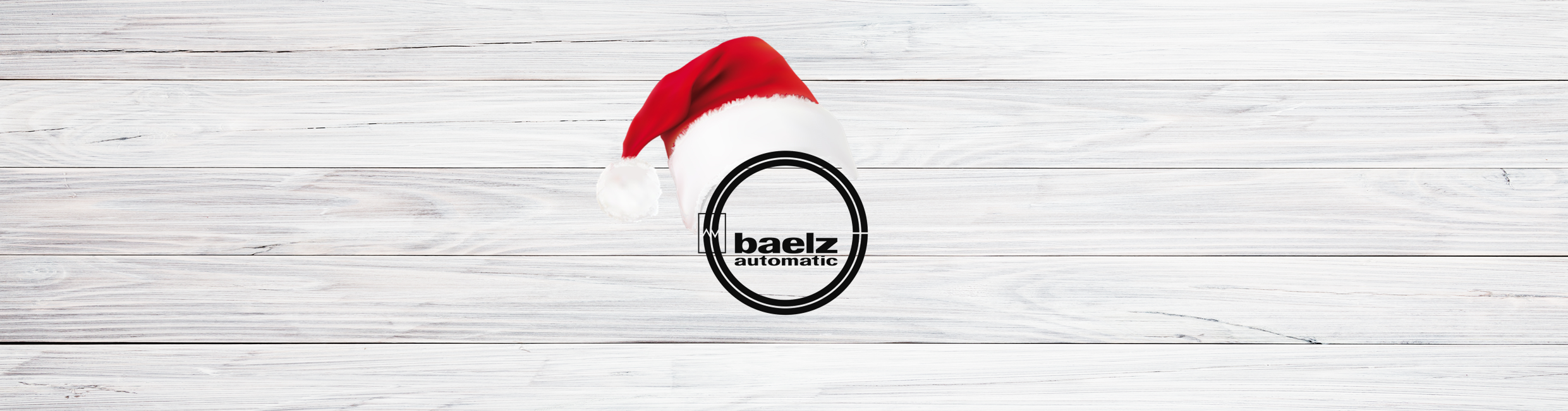 Baelz: Baelz – energiesparende Komponenten und Systeme für Wärmeträger